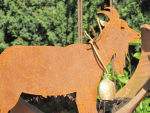 Edelrost Schild mit Ziege "verbockt" - Angels Garden Dekoshop